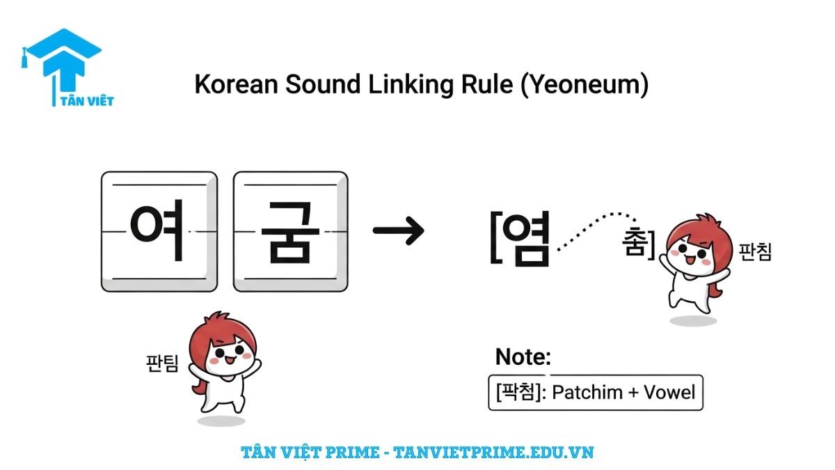 Patchim (받침) là gì? Phụ Âm Cuối & Quy Tắc Phát Âm Chuẩn Như Người Hàn