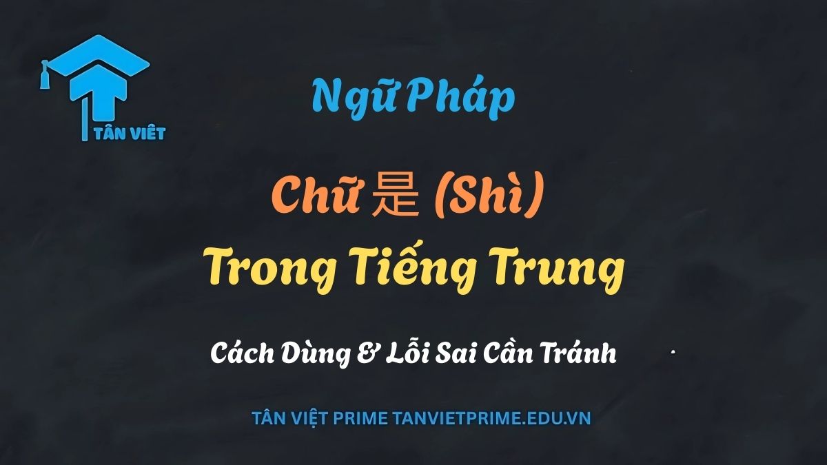 Ngữ Pháp Chữ 是 (Shì) Trong Tiếng Trung: Cách Dùng & Lỗi Sai Cần Tránh